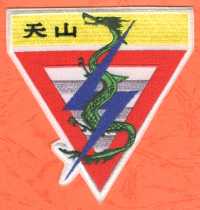 Taiwan ROC Army Detachment Dragon Corps 4.5″x4.6″ – VolkSStorm.com